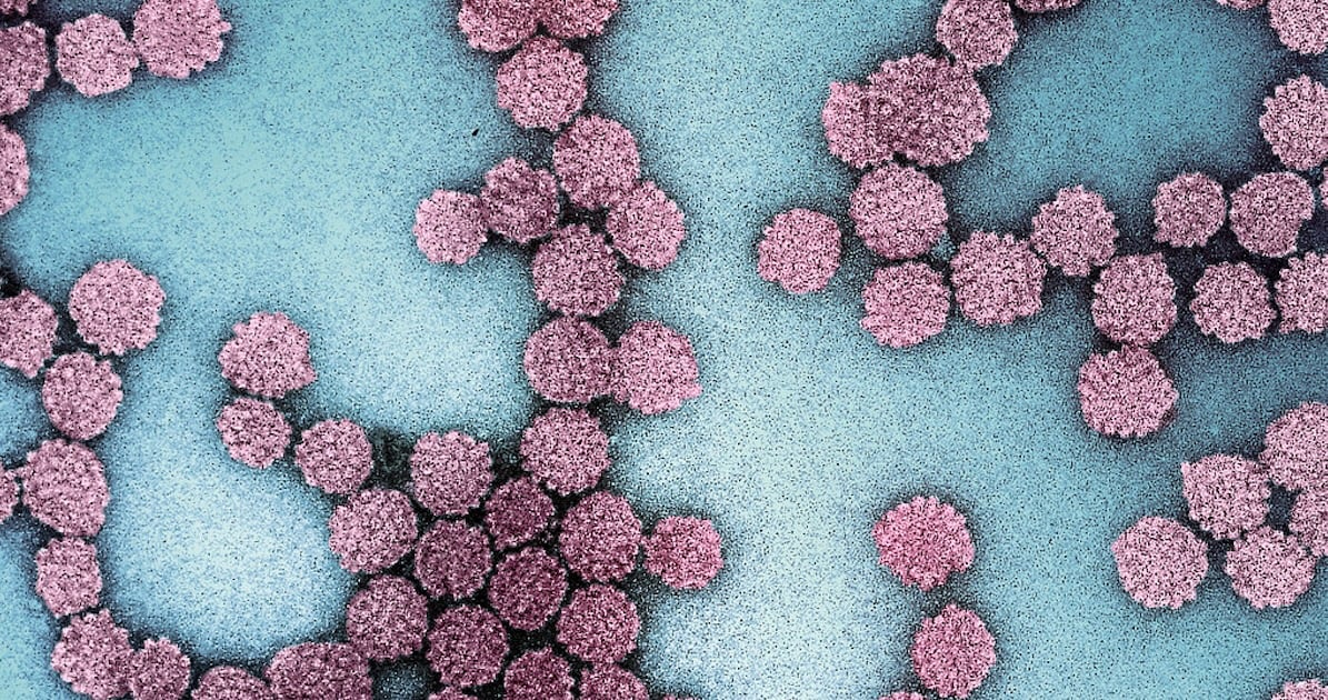 Bridging the gap: HPV screening and gender inclusivity in Puerto Rico