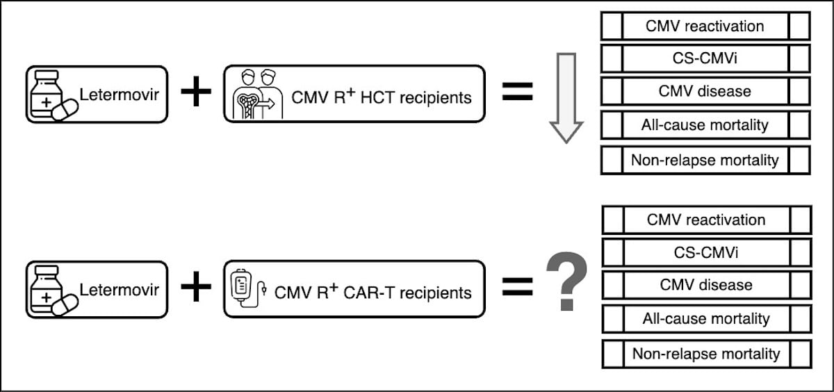 Letermovir’s impact on CMV prophylaxis for seropositive HCT recipients ...